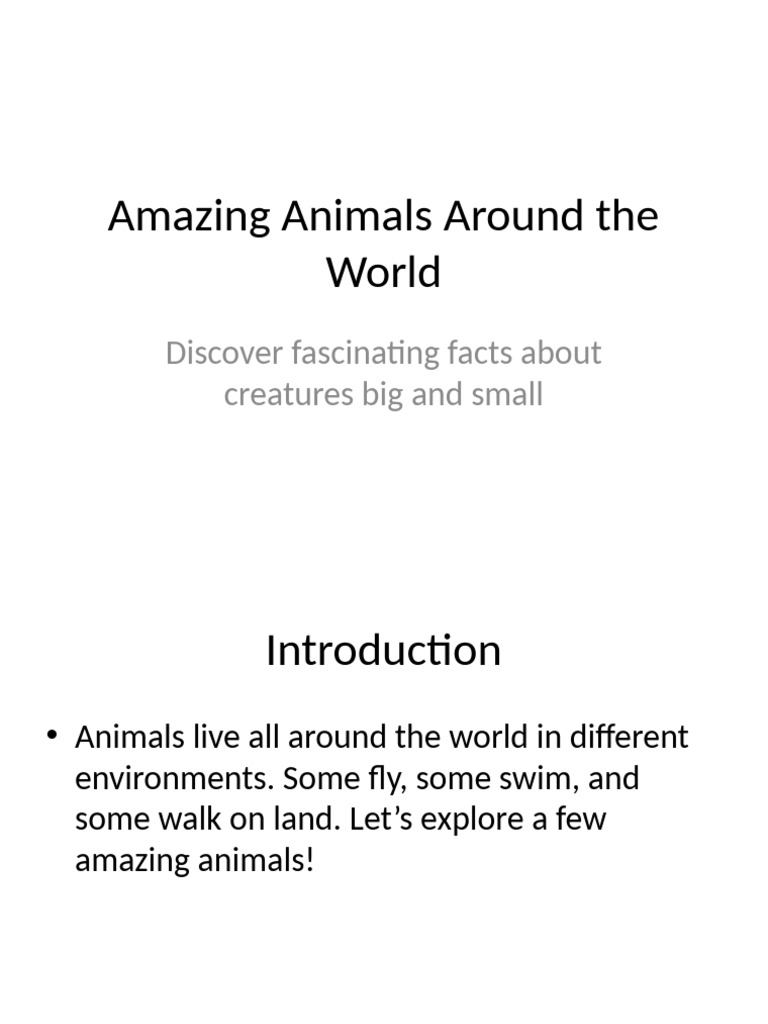 Amazing Animals Presentation | PDF