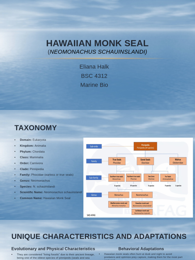 Hawaiian Monk Seal Species Project | PDF | Pinniped | Predation