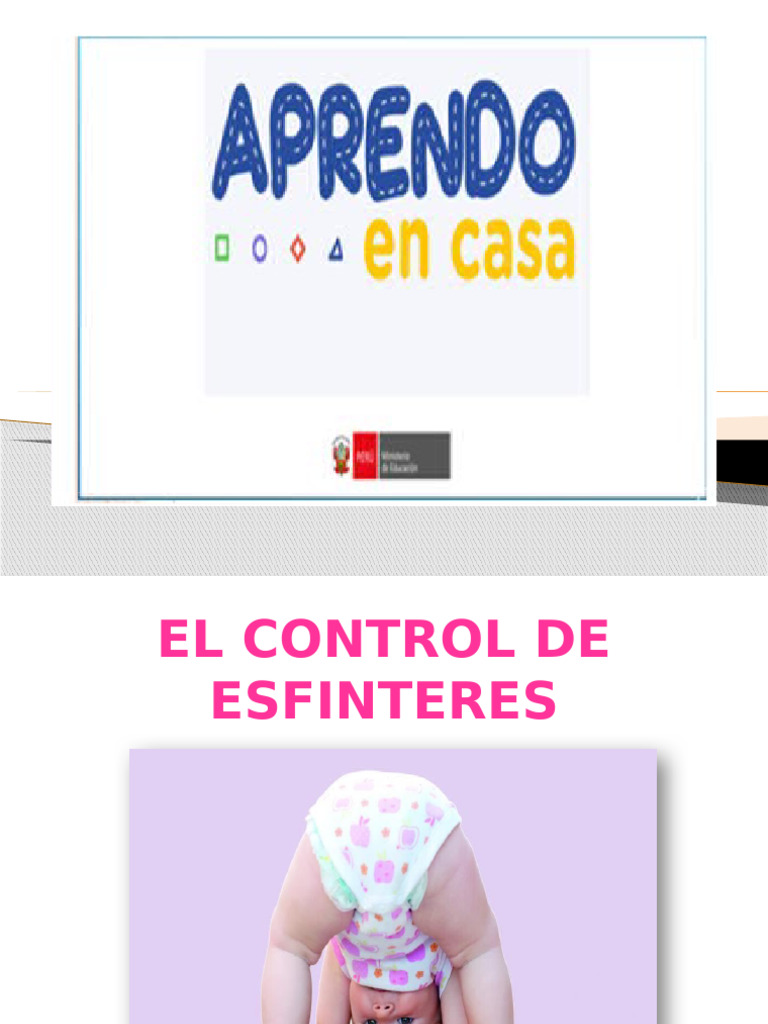 Tabla de control de esfínteres infantil | PDF