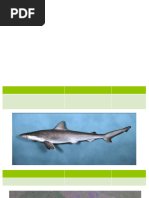 Body/Fin Breeding Chart For Fish Tycoon | PDF | Sharks | Vertebrates