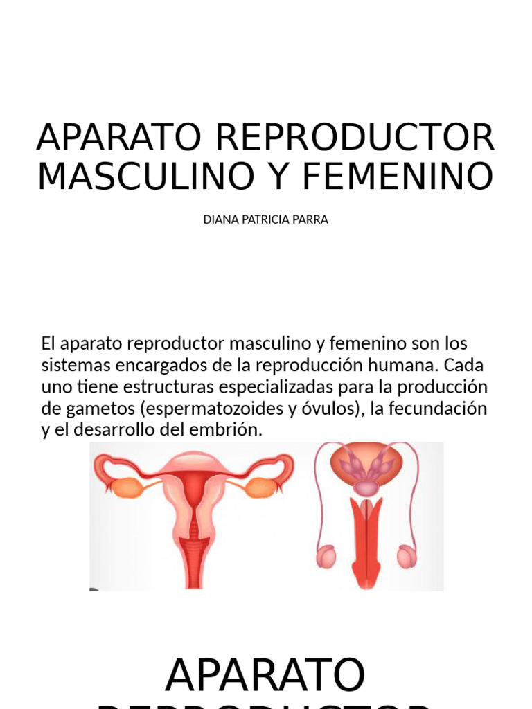 Aparato Reproductor Masculino y Femenino (1) | PDF | Sistema reproductivo | Ciclo menstrual