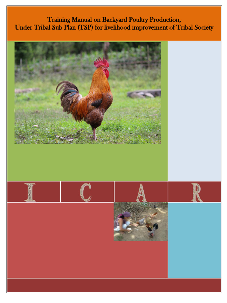 Backyard Poultry Training Manual | PDF | Chicken | Nutrients