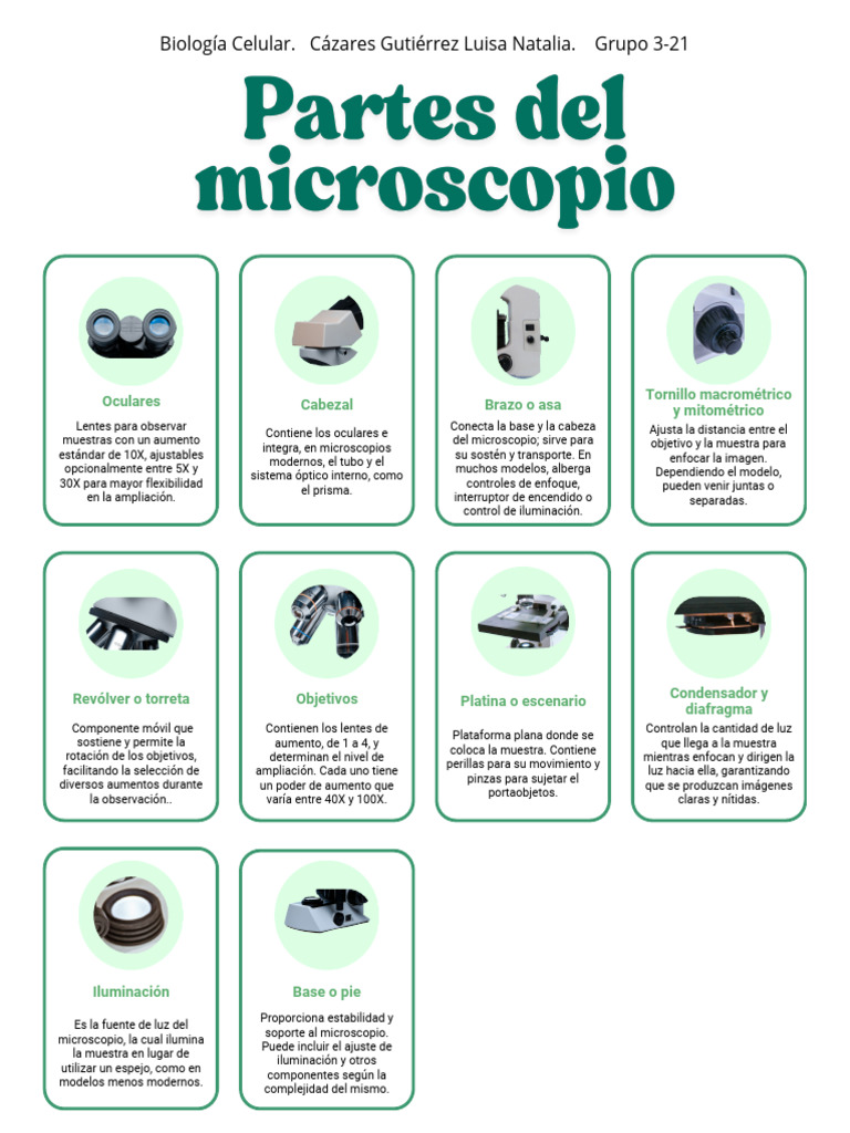 Partes del microscopio | PDF | Microscopio | Óptica