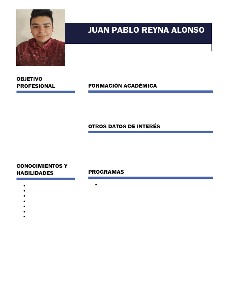 Juan Pablo Reyna Alonso: Perfil Profesional | PDF