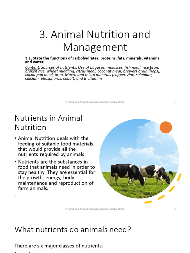 3.1 - Functions of Nutrients. | PDF | Nutrients | Foods