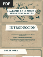 Anatomía y Fisiología de Nariz y Senos Paranasales | PDF | Nariz humana | Otorrinolaringología
