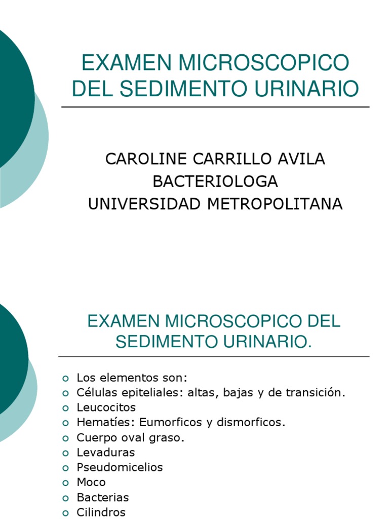 Examen Microscópico de Sedimento Urinario | PDF | Sistema urinario | Riñón