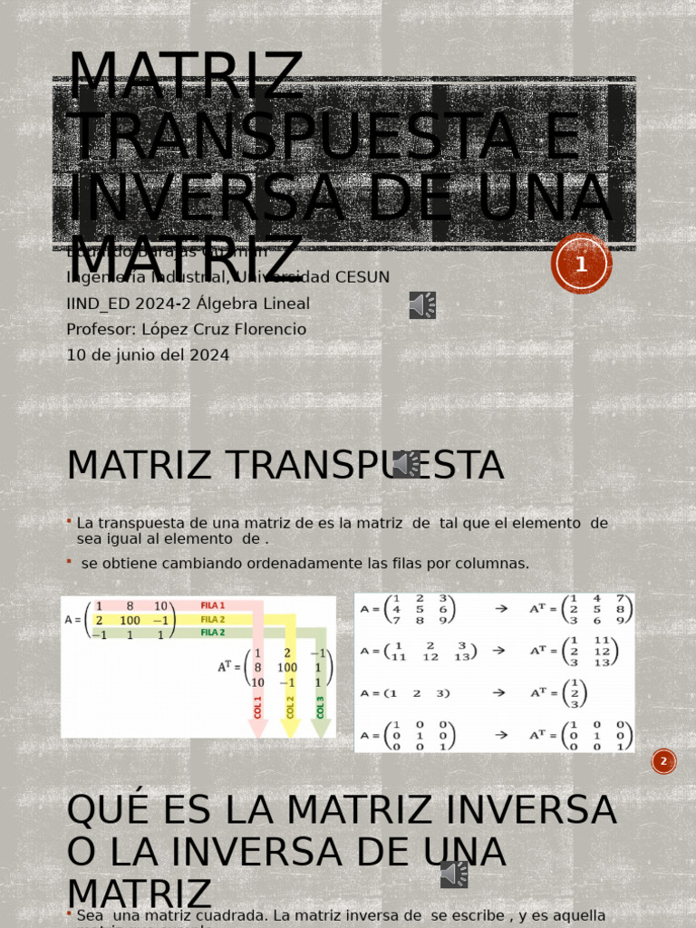 Matriz transpuesta e inversa de una matriz | PDF | Matriz (Matemáticas ...