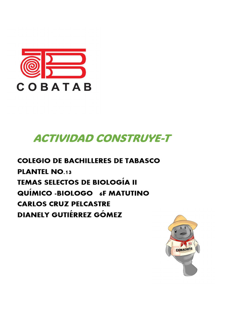 Actividad - Construye T | PDF