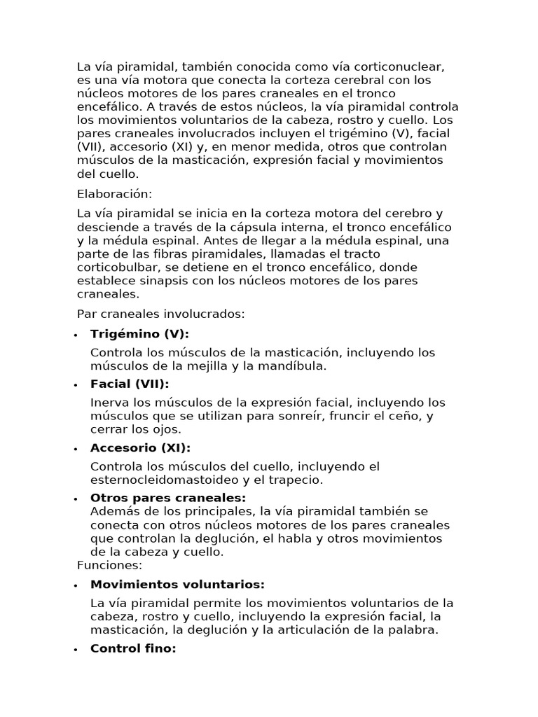 Vía Corticonuclear y Control Motor | PDF