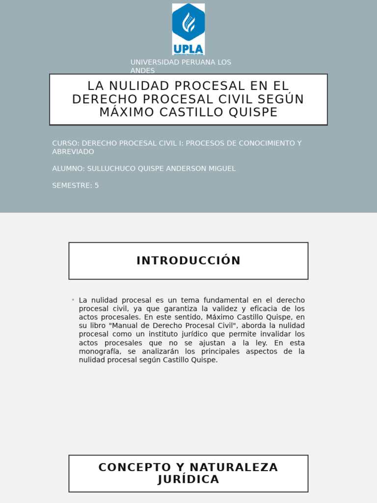 La Nulidad Procesal en El Derecho Procesal Civil | PDF | Ley procesal ...