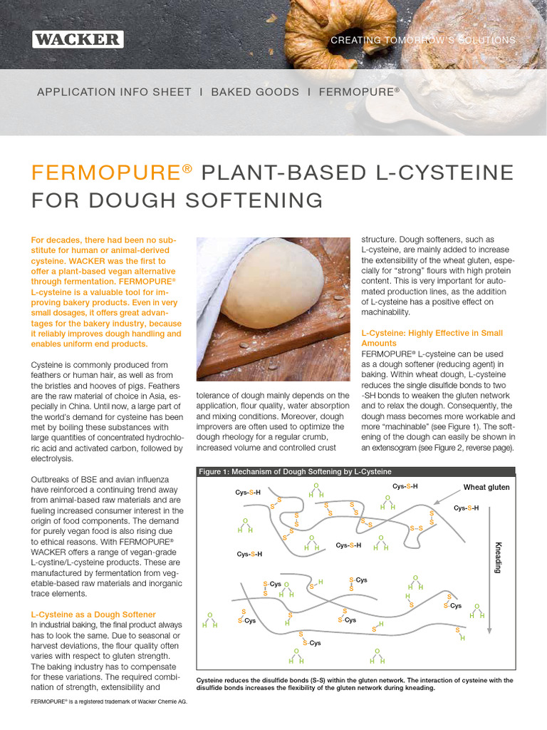 FERMOPURE Plant Based L-Cysteine | PDF | Cysteine | Breads