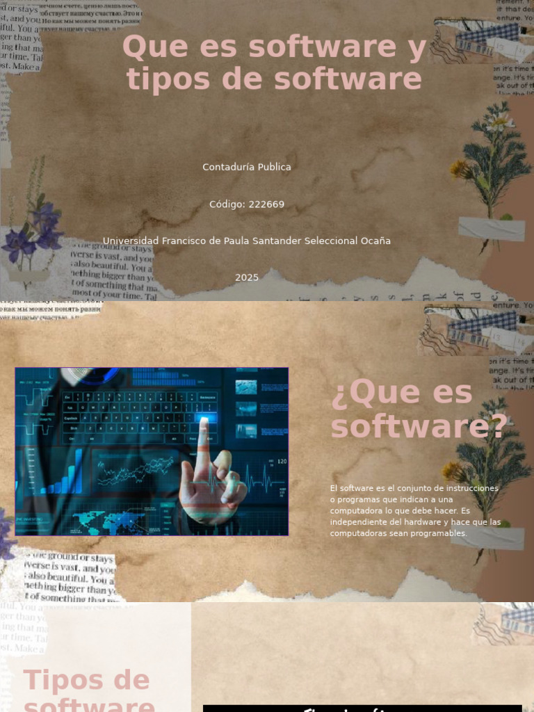 Que Es Software y Tipos de Software | PDF
