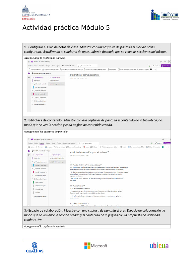 Plantilla Actividad Practica Modulo 5 | PDF