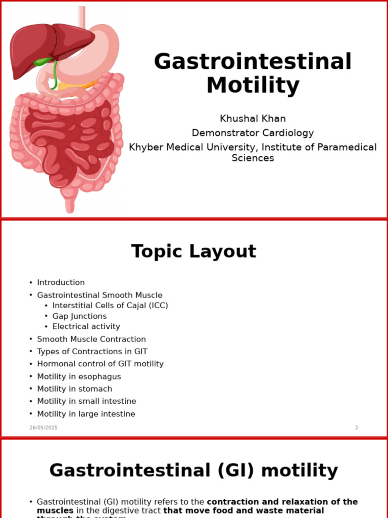Lecture 26 - Gastrointestinal Motility | PDF | Muscle Contraction ...