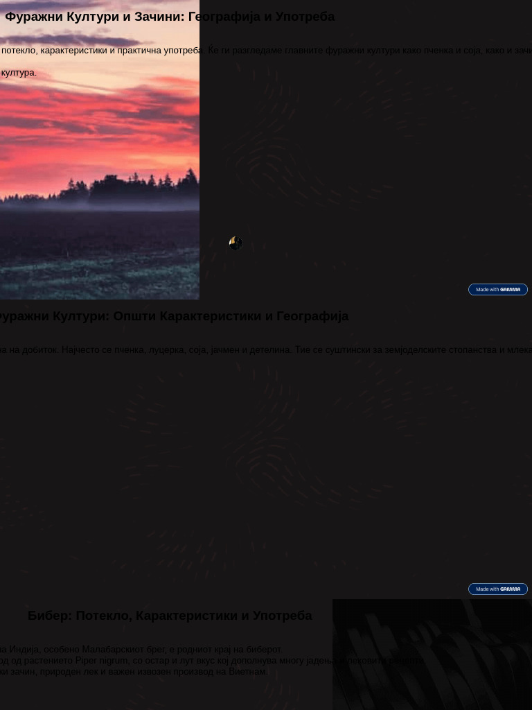 Popravena Furazni Zacini Prezentacija | PDF