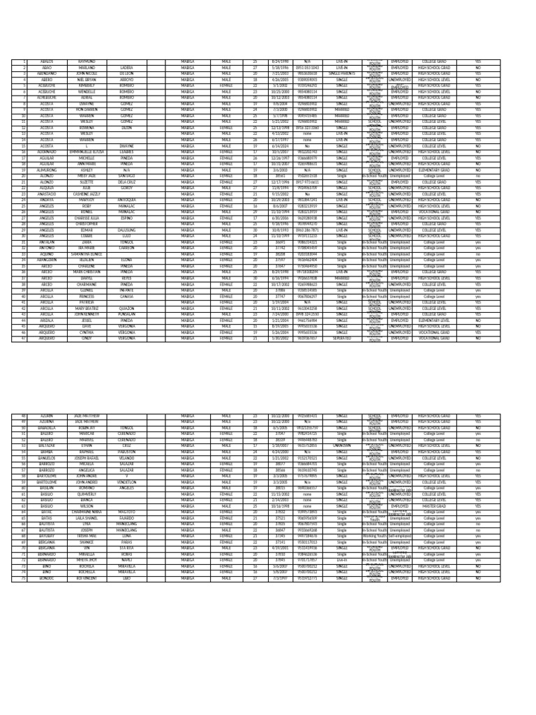 MABIGA Youth Employment Data | PDF