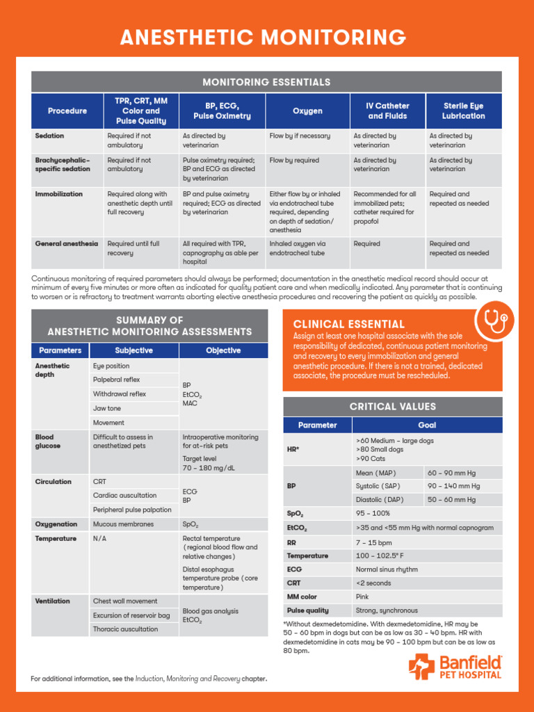 Anesthetic Monitoring - Job Aid | PDF | Anesthesia | Monitoring (Medicine)