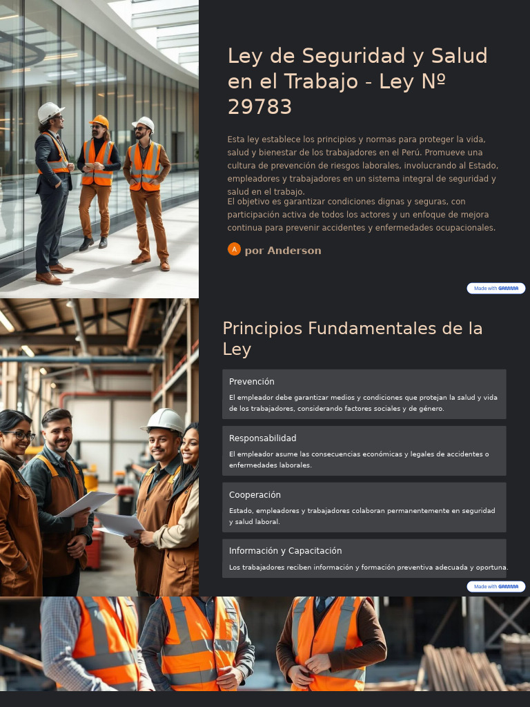 Ley-de-Seguridad-y-Salud-en-el-Trabajo-Ley-No-29783 | PDF | Seguridad y salud ocupacional ...