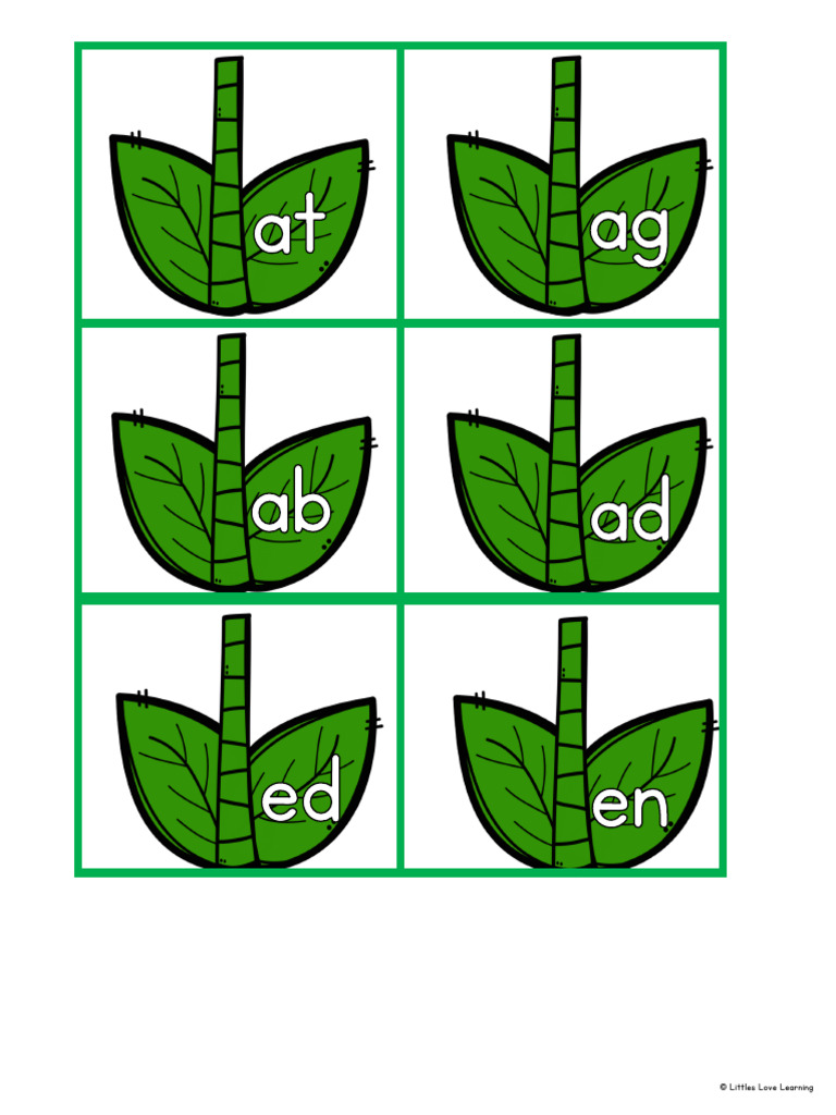 Rhyming Word Family Flowers 1 Copia Colorida Plastificada | PDF