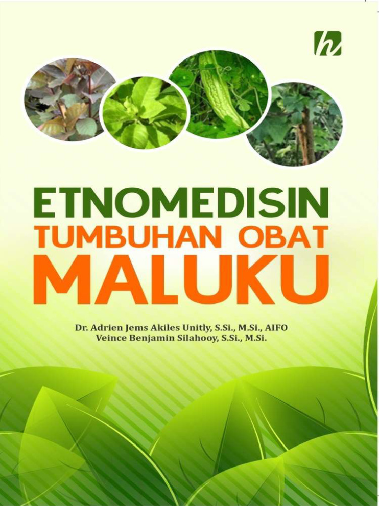Etnomedisin Tumbuhan Obat Maluku | PDF