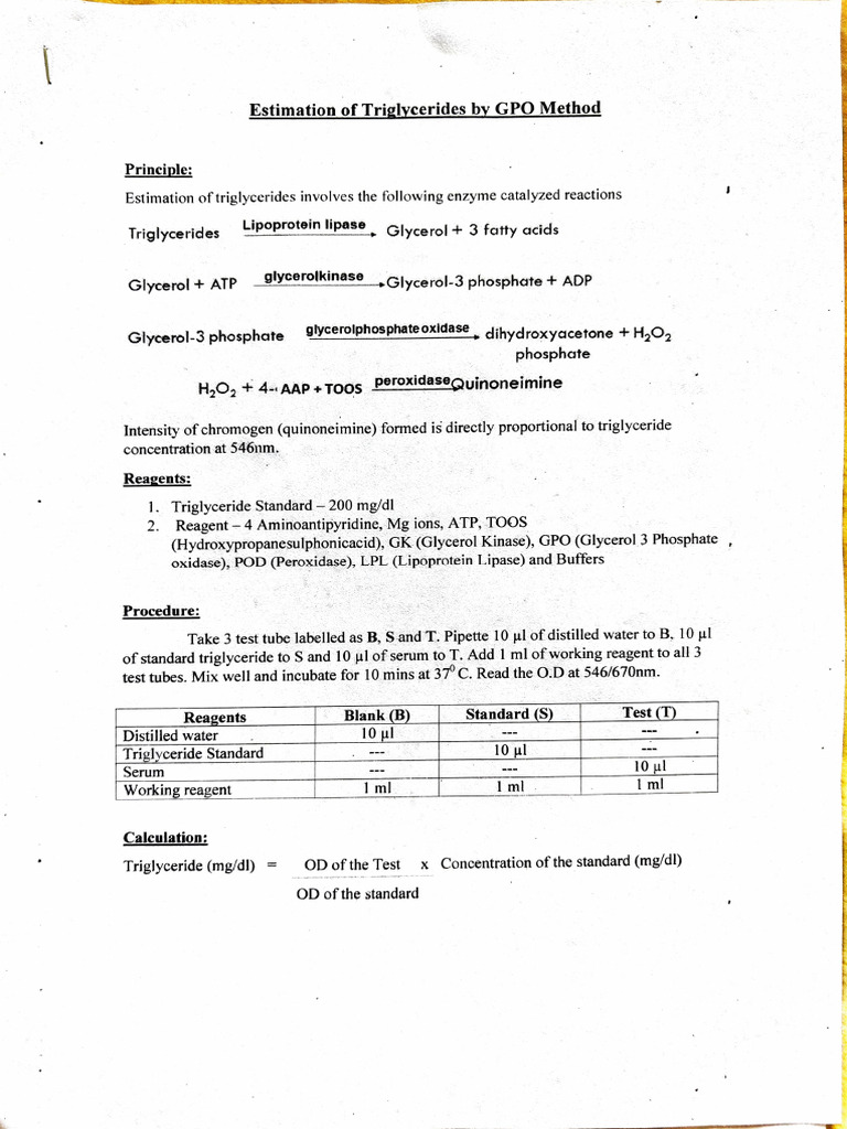 Triglycerides - GPO Method | PDF
