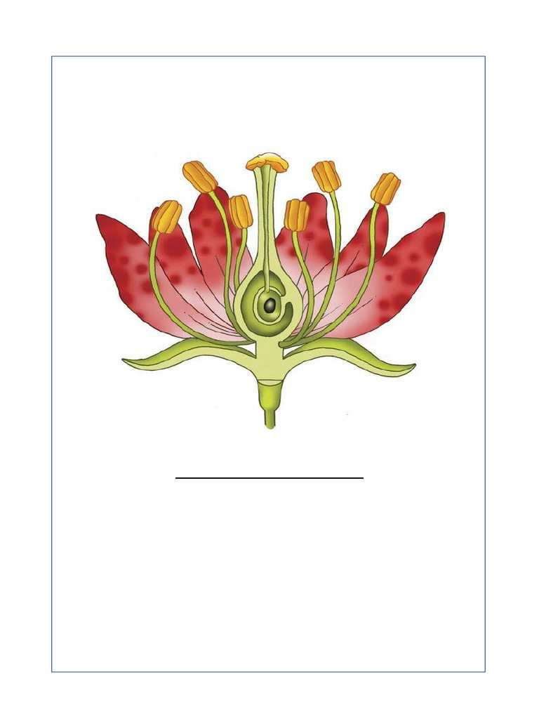 Modul Ajar Berdiferensiasi Dan Terintegrasi PSE Mapel IPAS Kelas 4 Jenis-Jenis Bunga | PDF