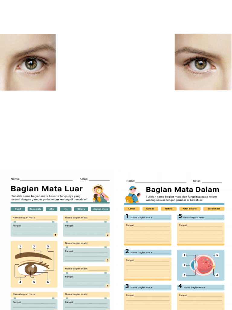 LKPD Ipas Bagian-Bagian Mata | PDF