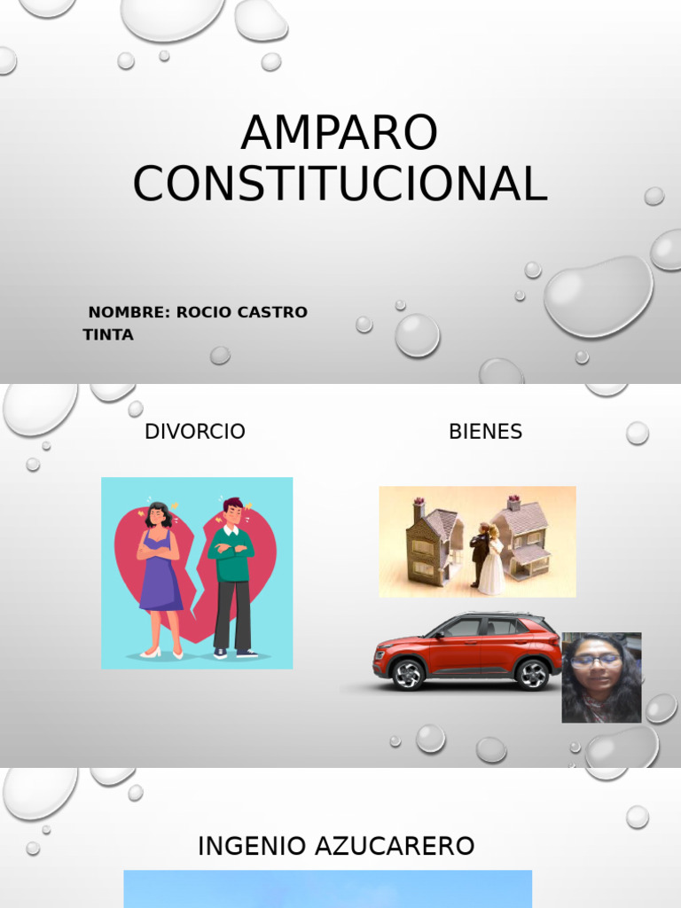 AMPARO CONSTITUCIONAL | PDF