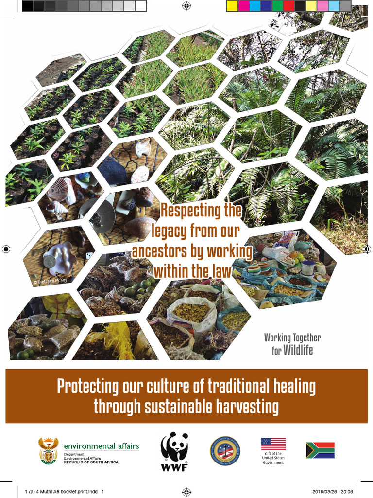 Sustainable Muthi Harvesting Guide | PDF | Biodiversity | Cites