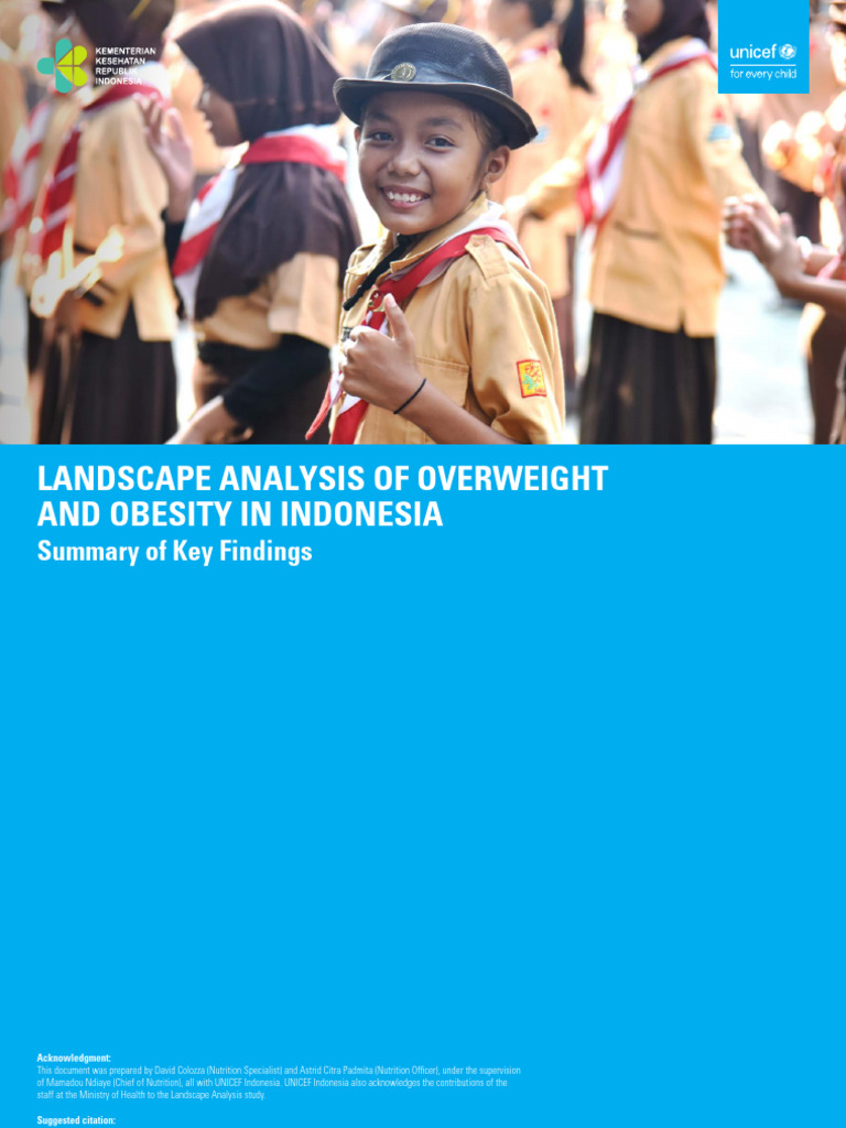 Summary Key Findings Landscape Analysis Overweight Obesity Indonesia ...