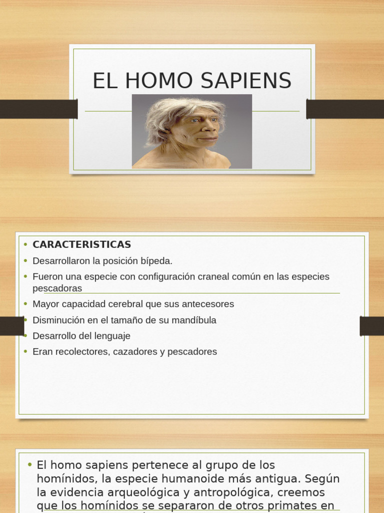 Características del Homo Sapiens y Hallazgos | PDF | Homo | Humano