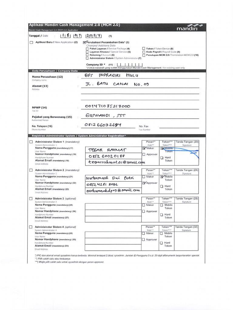 Form Aplikasi MCM 2.0 Versi 4.2 BPS | PDF