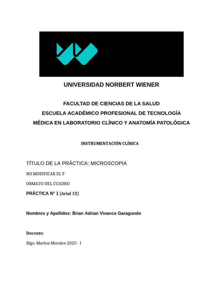 Informe Micros | PDF