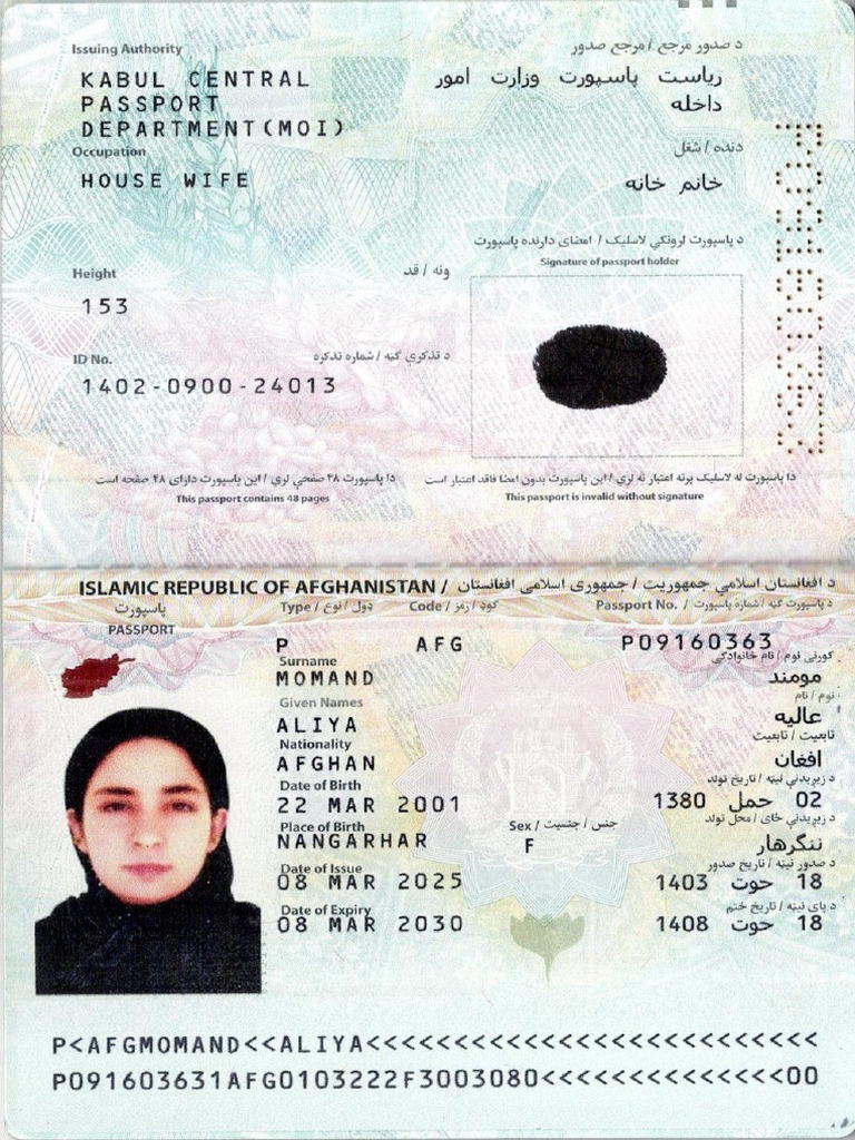 Passport | PDF