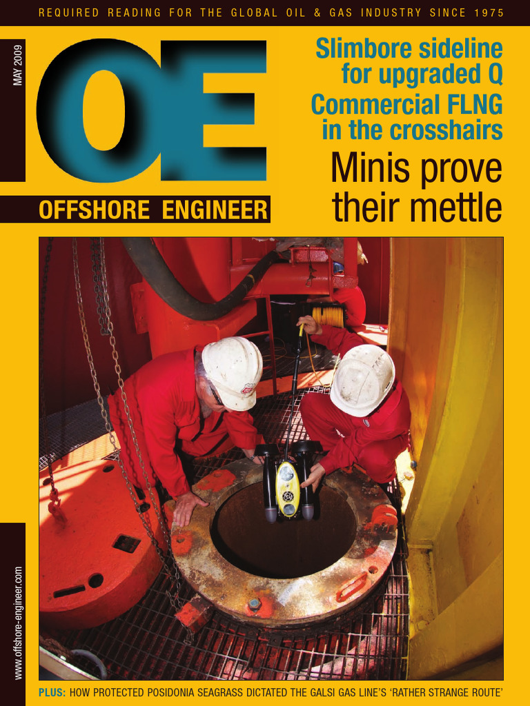 Offshore Engineer-May 2009 | PDF | Bp