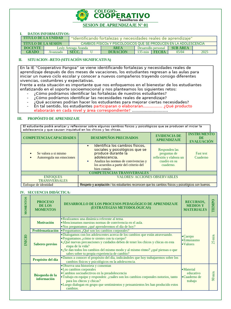 DPCC S2 AVANZADO | PDF | Aprendizaje | Sicología