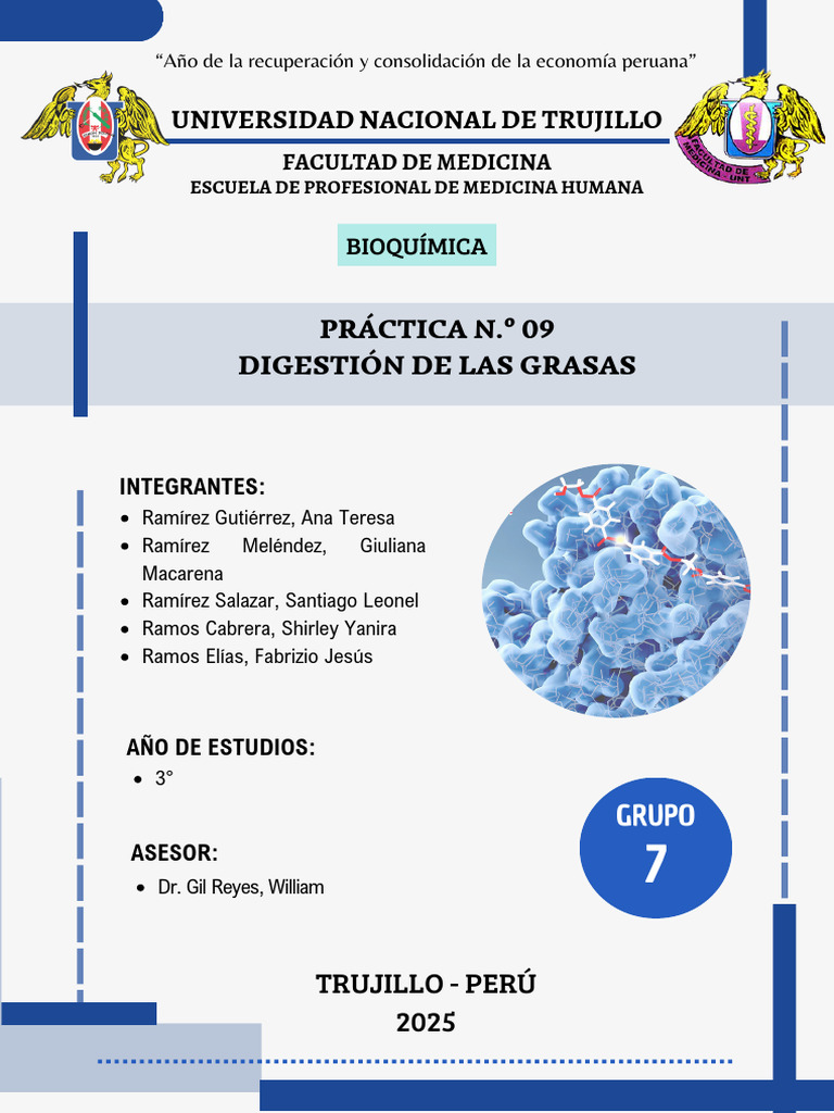Informe Práctica 9,10-Bioquímica | PDF | Bilis | Digestión