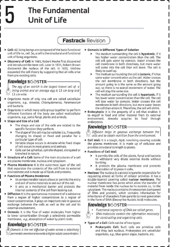 Monday Test | PDF