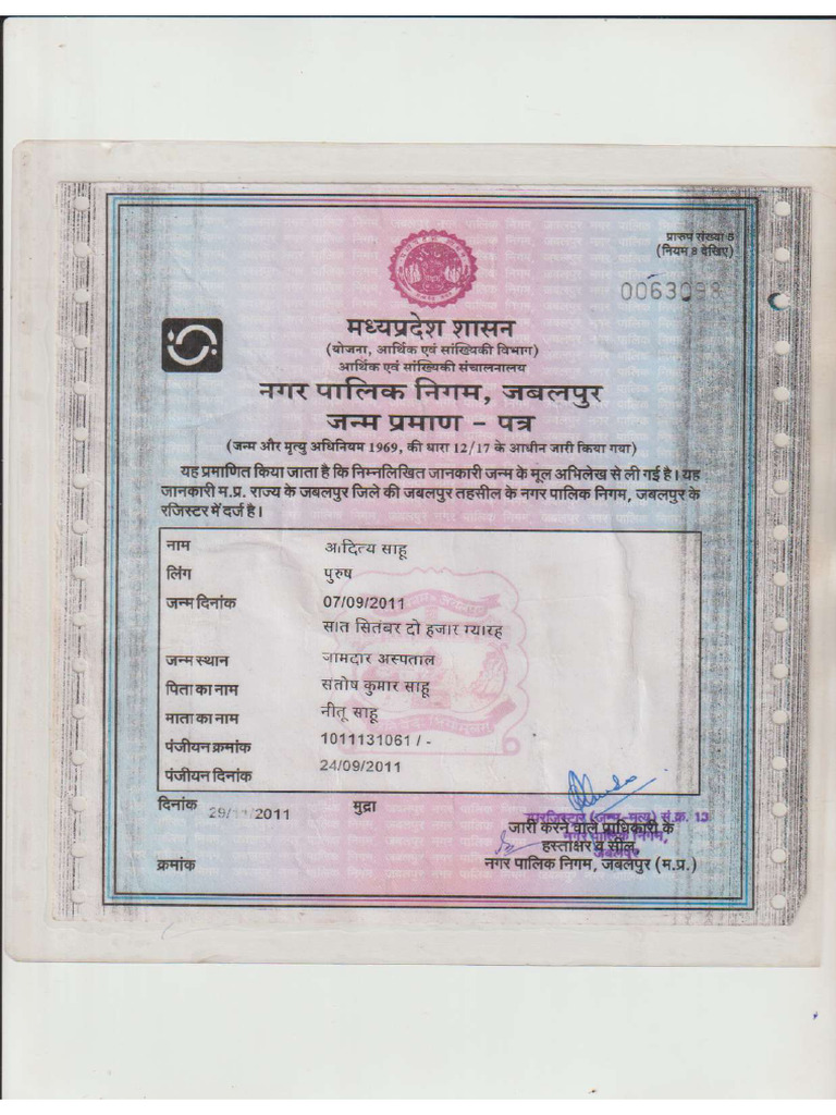 Aditya Birth Certificate | PDF
