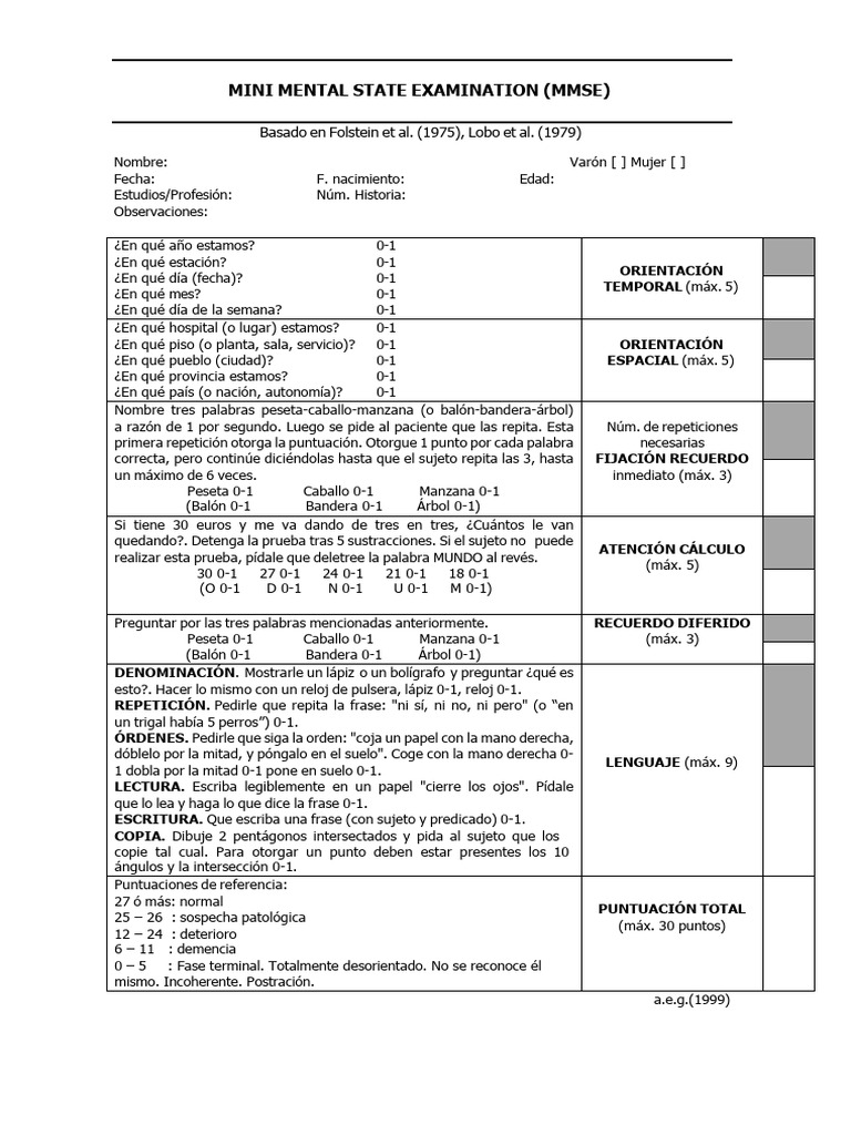 Mini Mental State Examination (MMSE) | PDF