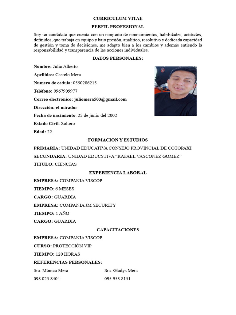 Curriculum Julio | PDF