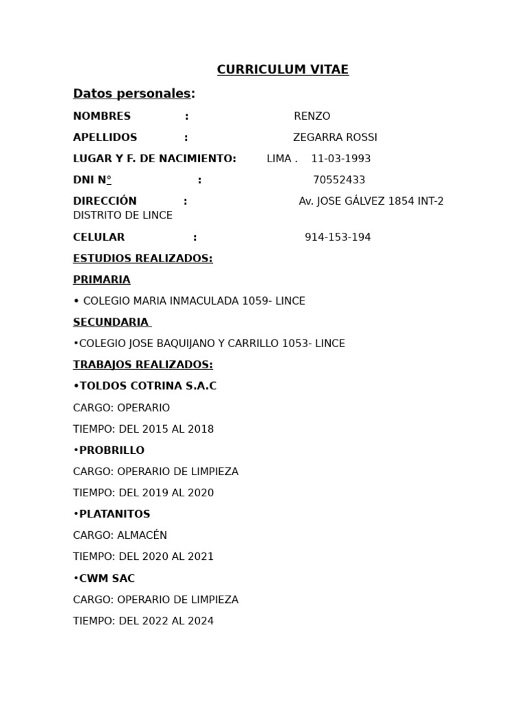 Curriculum Renzo | PDF