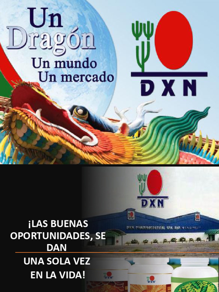 Complete Presentation DaXeN 2 | PDF | Economias