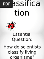 Amoeba Sisters Classification Guide | PDF