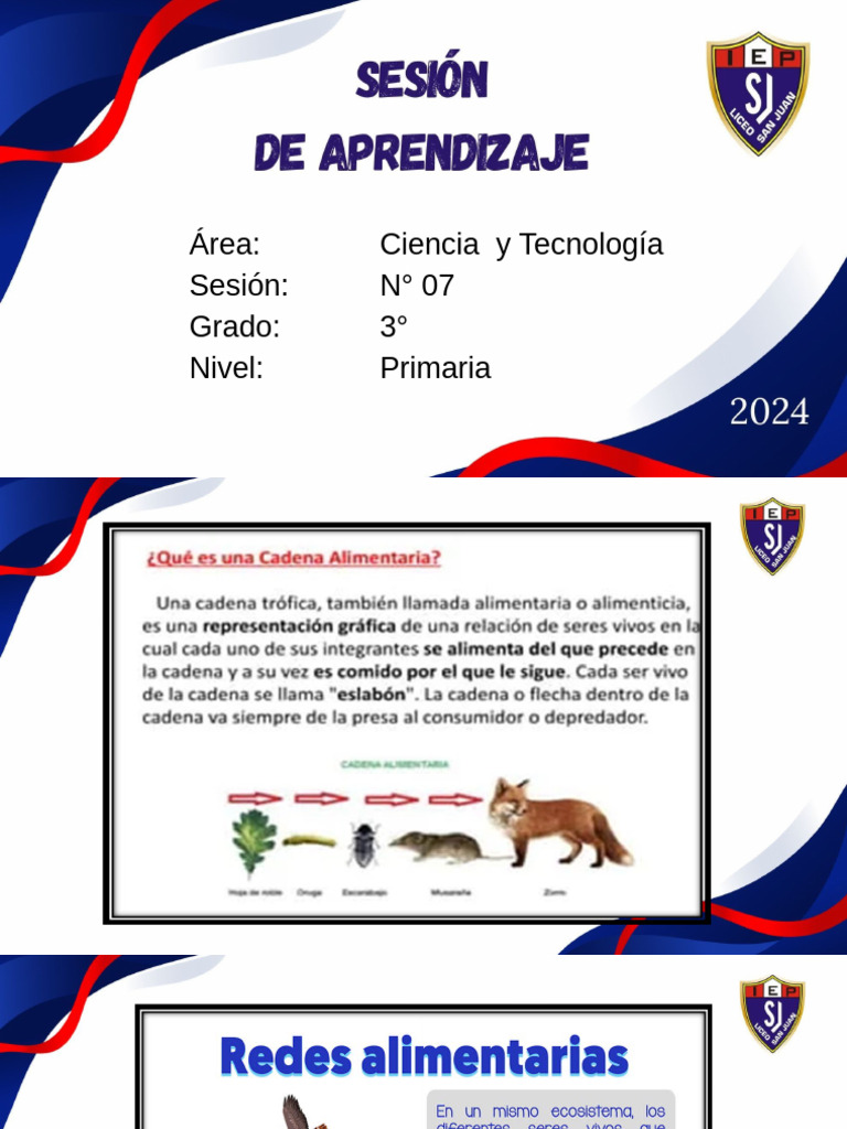 Cadenas y Redes Alimenticias - 3° Ciencia | PDF