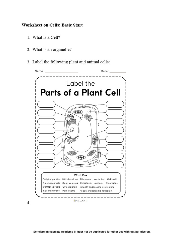 Cell Structure and Functions Worksheet | PDF