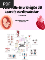 Desarrollo Embrionario del Corazón | PDF | Corazón | Ventrículo (corazón)