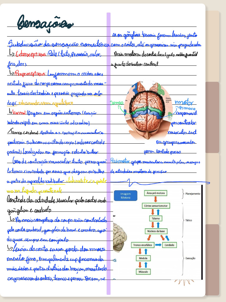Caderno Digital - Gratuito 240902 222120 | PDF