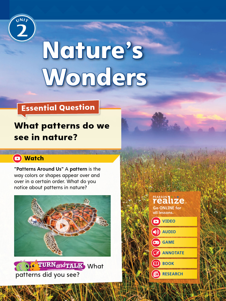 Patterns in Nature: A Learning Guide | PDF | Phonics | Plural